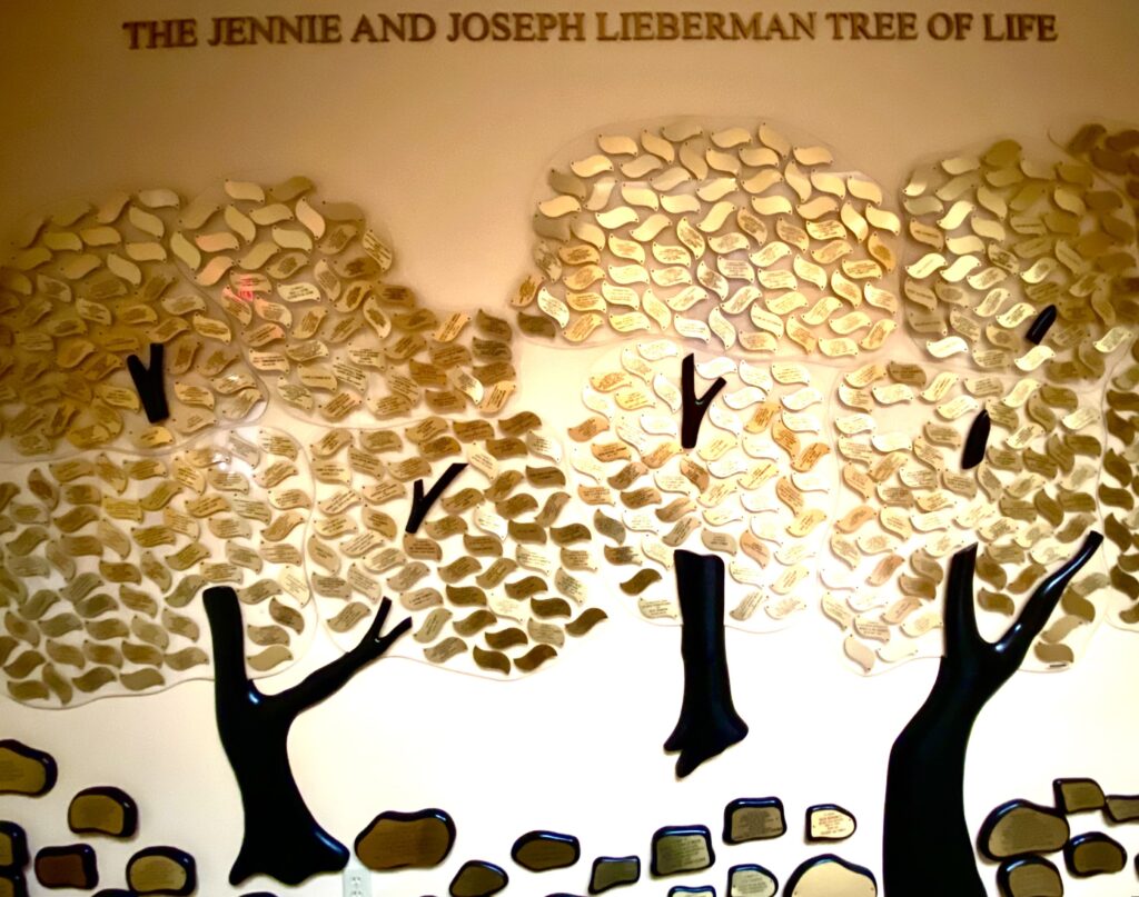 Tree of Life | Highland Park Conservative Temple - Highland Park ...